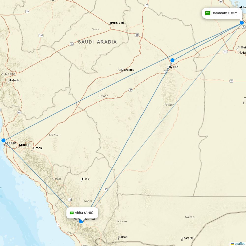 Flynas airline routes (XY) 2026, map - Flight Routes