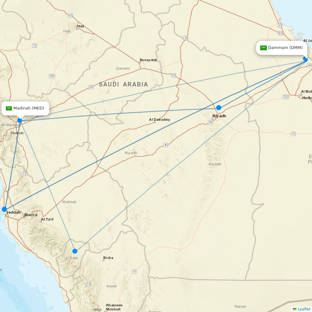 Flynas airline routes (XY) 2026, map - Flight Routes
