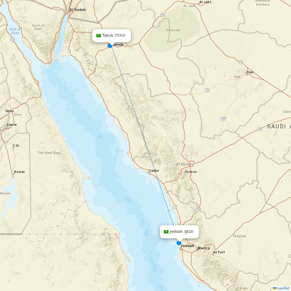 Flynas airline routes (XY) 2026, map - Flight Routes